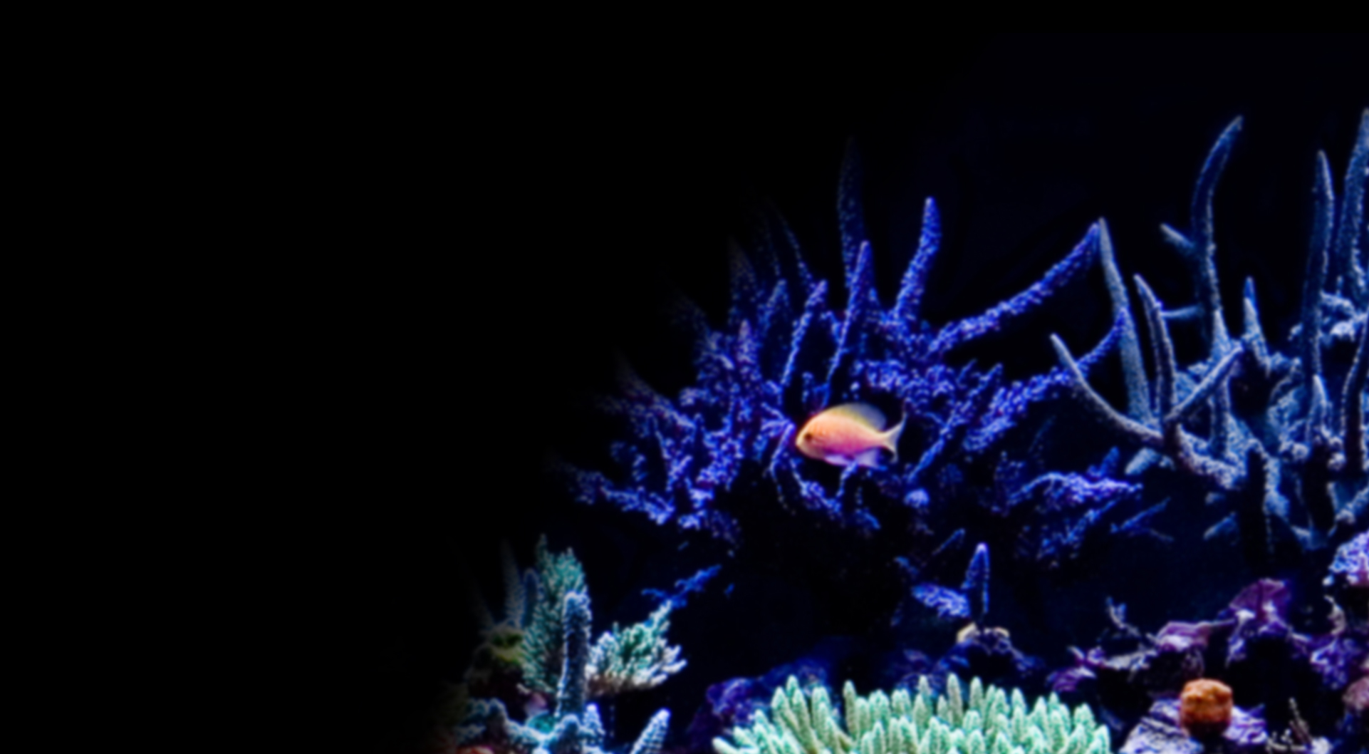 Index of /assets/images/slides